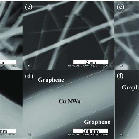 Sem Images Of A B As Grown Cu Nws C D Ng Cu Nws M And E F Download Scientific