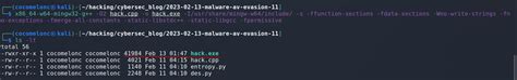 Malware Avvm Evasion Part 11 Encrypt Payload Via Des Simple C