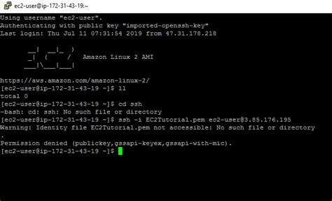 Unable To Ssh To Amazon Linux Instance From Windows 10i Have Kept My