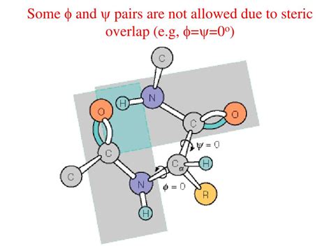 Ppt Local Geometry Of Polypeptide Chains Elements Of Secondary Structure Turns Powerpoint