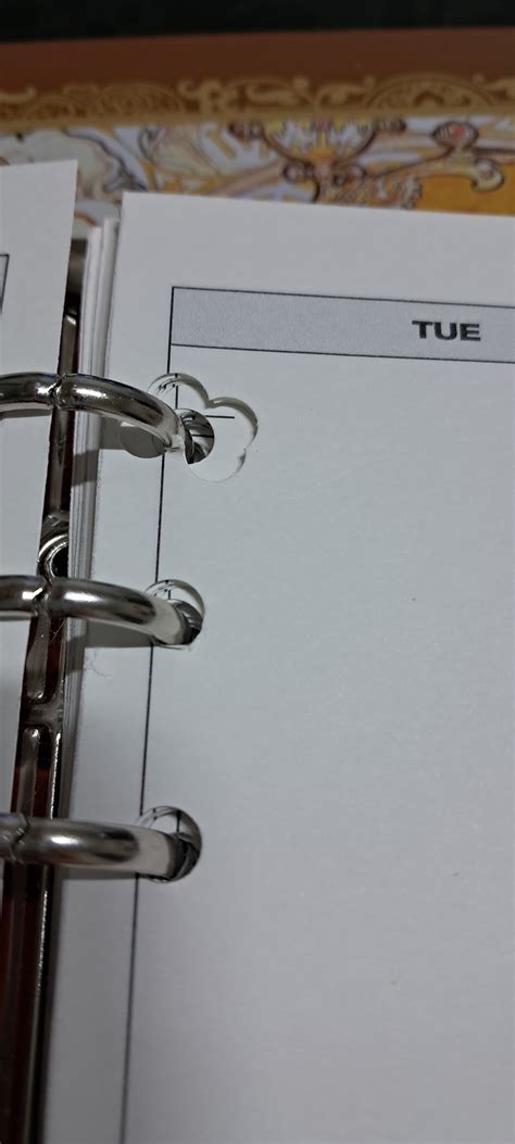 더쿠 망한 시그 리폼 대회 할 플리