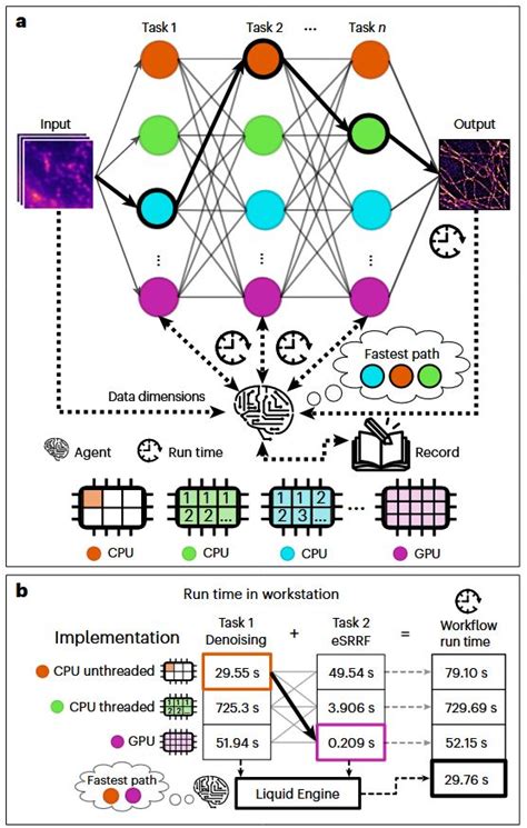 Volodymyr Nechyporuk Zloy On Linkedin Efficiently Accelerated Bioimage Analysis With Nanopyx A