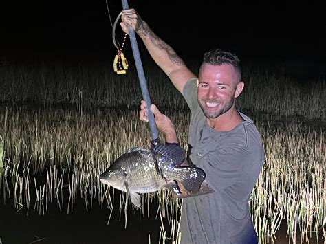 Embark On An Exciting Python Hunting Adventure