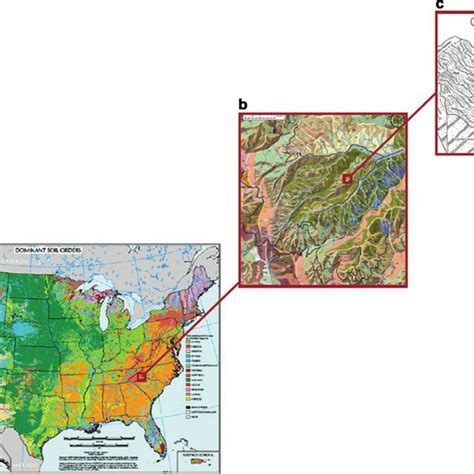 2 Soils Show High Spatial Variability Across A Soil Orders At The Download Scientific Diagram