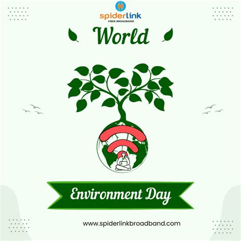 Spiderlink Network Pvt Ltd Home