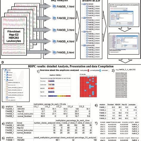 Workflow Of Bisulfite Genomic Sequencing Analysis Using Bdpc A C Download Scientific