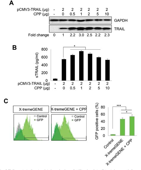 Figure 2 From Dna Binding Cell Penetrating Peptide Based Trail Over
