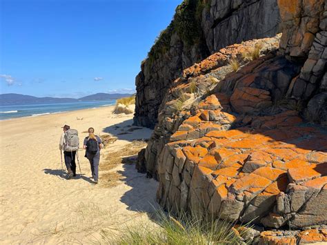 Guided Bruny Island Walking Tour In Tasmania 57hours