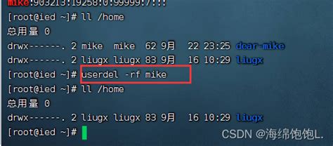 Linux用户操作liunx切换到mike用户 Csdn博客