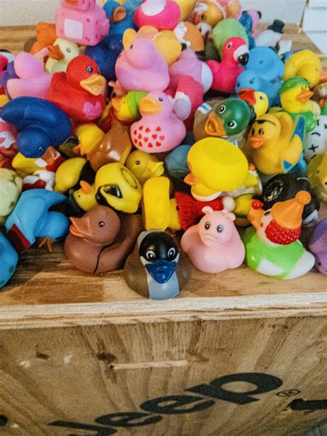 Rubber Ducks Home Schedule At Erica Gilman Blog