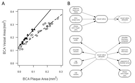The Apoe Mouse Physiolab® Platform A Validated Physiologically Based Mathematical Model Of