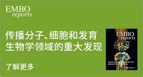Verigen：用于 Verilog 代码生成的大型语言模型acm Transactions On Design Automation Of