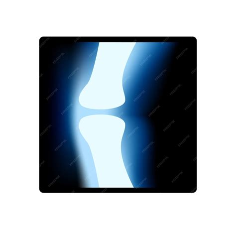Premium Vector Spreadsheet File Icon Color Vector Illustration