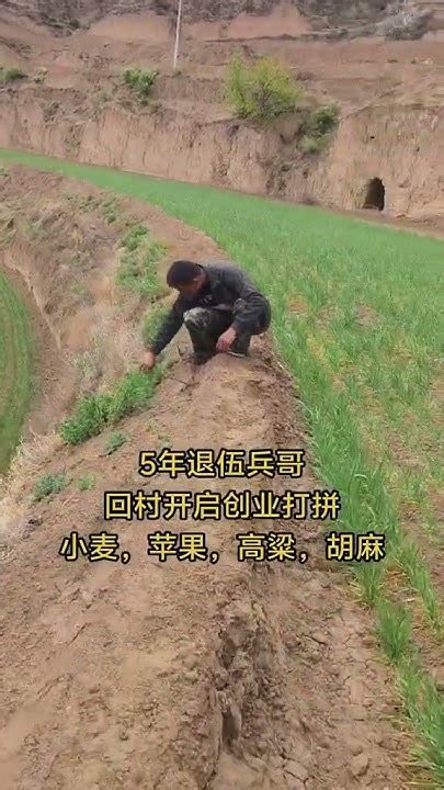 做纯天然很难，但是依然坚持，我们的高粱醋在筹备，我们的面粉在坚持，不论再难都值得坚守，加油大山人这就是农村的生活 一份耕耘一份收获 Youtube