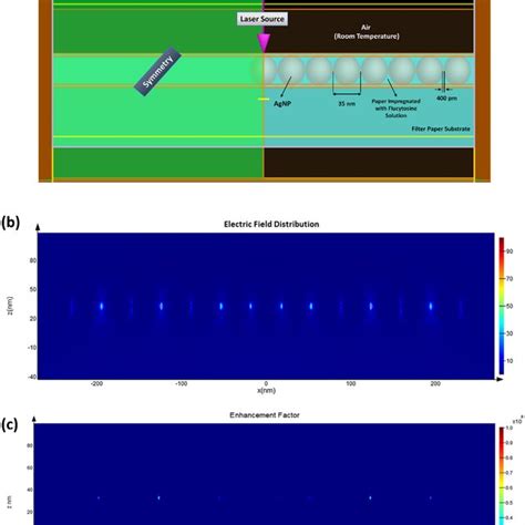 A Illustration Of The Modeled Filter Paper Based Sers Substrate B Download Scientific Diagram