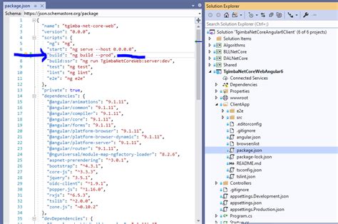 Tgimba Upgrade Angular Typescript Client From 6 To 9 Complete And Deployed To Production Via