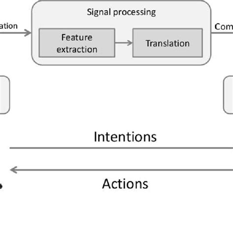 1 General Design Of A Bci System Download Scientific Diagram