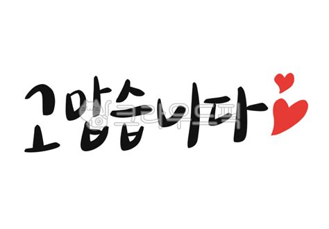 고맙습니다캘리그라피 고맙습니다 고맙습니다손글씨 감사 손글씨 사진 이미지 일러스트 캘리그라피 윤이영작가