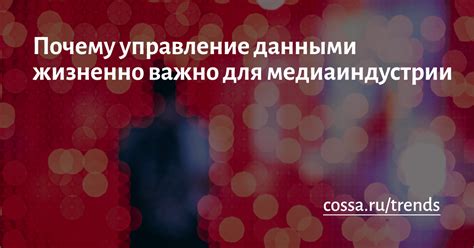 Почему управление данными жизненно важно для медиаиндустри Читайте на