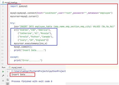 python mysql insert query important concept