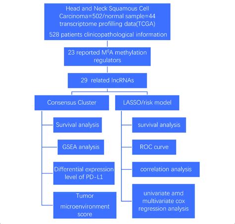 workflow chart of data generation and analysis download scientific