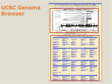 Ppt Ucsc Genome Browser Powerpoint Presentation Free Download Id 2742517