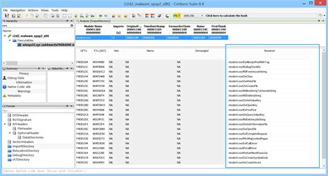 Memory Analysis Cerbero Labs