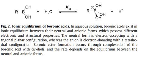 Chemistry Of Boronic Esters Aa Blocks