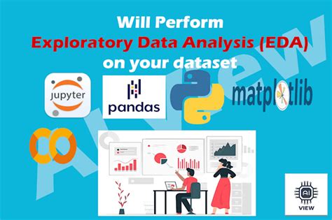 Perform Exploratory Data Analysis On Your Data By Aiview Fiverr