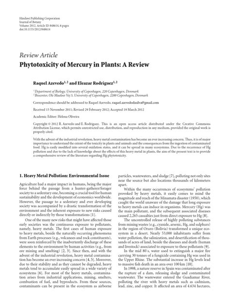 Phytotoxicity Of Mercury In Plants A Review Pdf Mercury Element