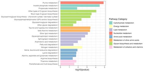 Chapter 3 Example Unique Analyses Mnet