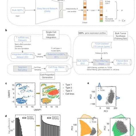 Overview Of DeSide A The DNN Model A Fully Connected DNN Model Was Download Scientific