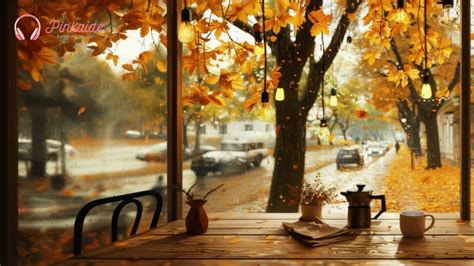 가을비 속에 피어나는 감성 피아노 선율 힐링 음악 플레이리스트 🌧️🍂 Youtube