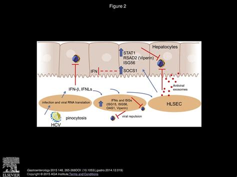 Covering The Cover Gastroenterology Ppt Download