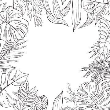 Waves Vector Png Images Vector Background With Hand Drawn Tropical