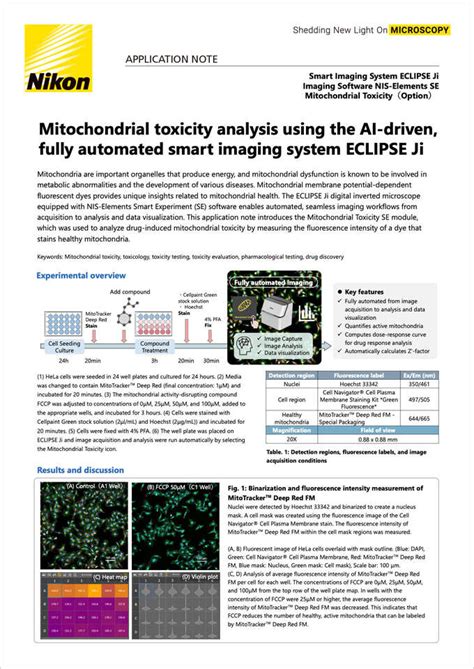 Mitochondrial Toxicity Analysis Using The Ai Driven Fully Automated Smart Imaging System