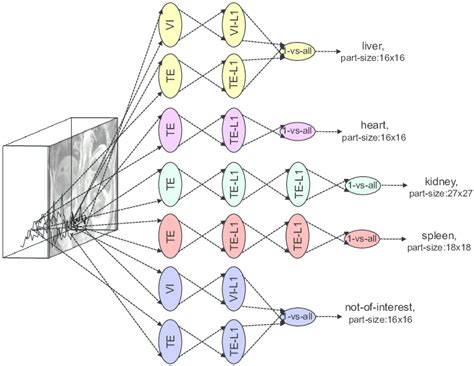 a conceptual visualization of the usage of contextspecific features