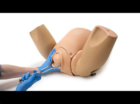 Assisted Vaginal Birth Module Prompt Flex Range Limbs And Things Us