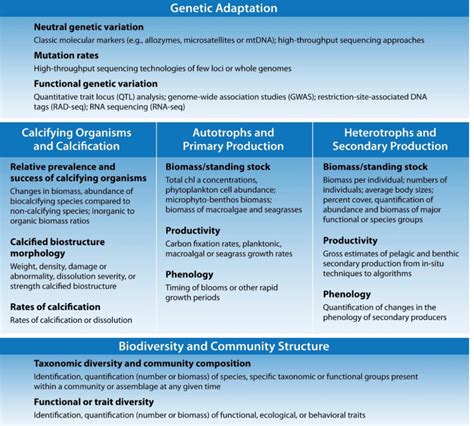 Five Fundamental Ecosystem Traits And Their Observable Indicators