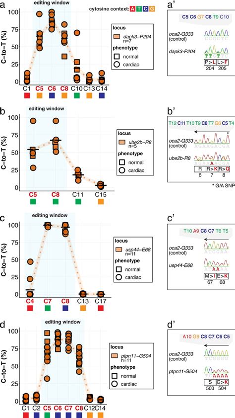 Figures And Data In Precise In Vivo Functional Analysis Of Dna Variants