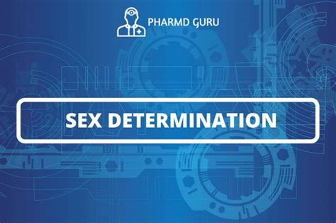 46 Spermatogenesis And Oogenesis Pharmd Guru