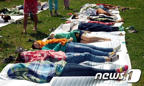 낮잠자기 대회중이에요 뉴스1
