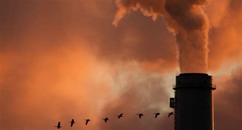 Агаарын бохирдол ой санамжид сөргөөр нөлөөлдөг