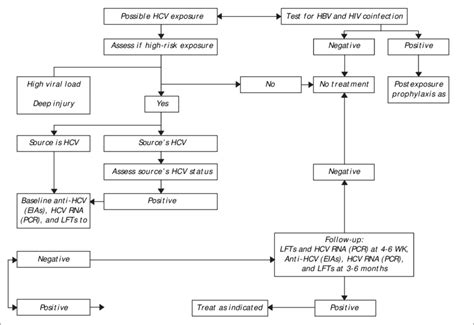 Algorithm For The Management Of A Suspected Exposure To Hcv Adapted Download Scientific