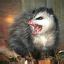 Possum Prometheus Tumblr Tumbex