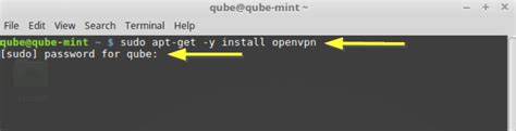 Openvpn Setup Linux Mint Command Line Strongvpn