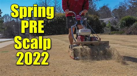 Scalping Bermuda Lawn - Preemergent Prep - YouTube