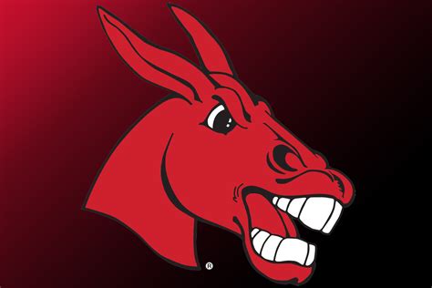 Mule Headed