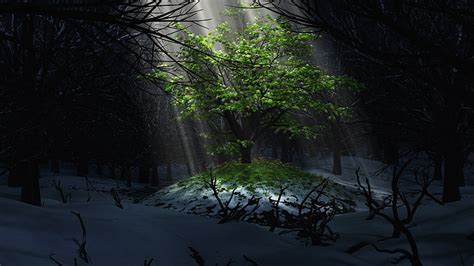 2560x1440 HD обои скачать бесплатно | Wallpaperbetter