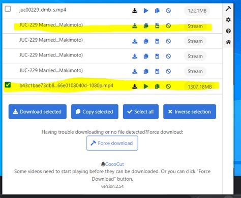 Downloading From Streaming Sites With Browser Extensions Akiba
